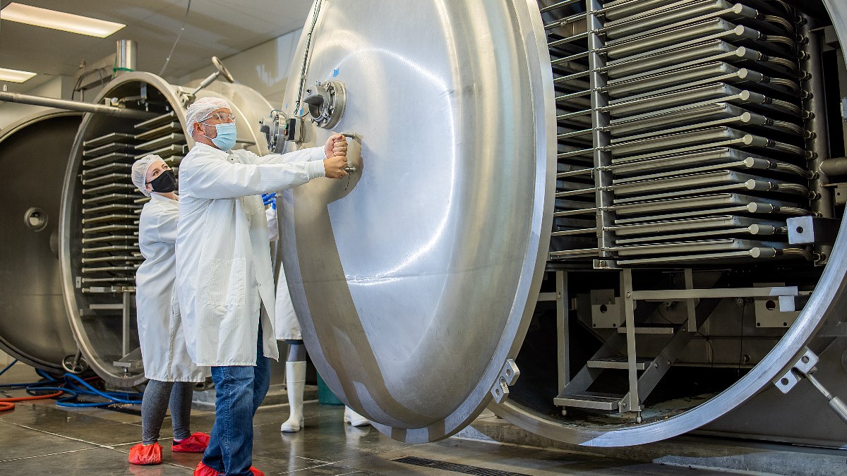 Shroom Bros - What are Freeze-Dried Magic Mushrooms?