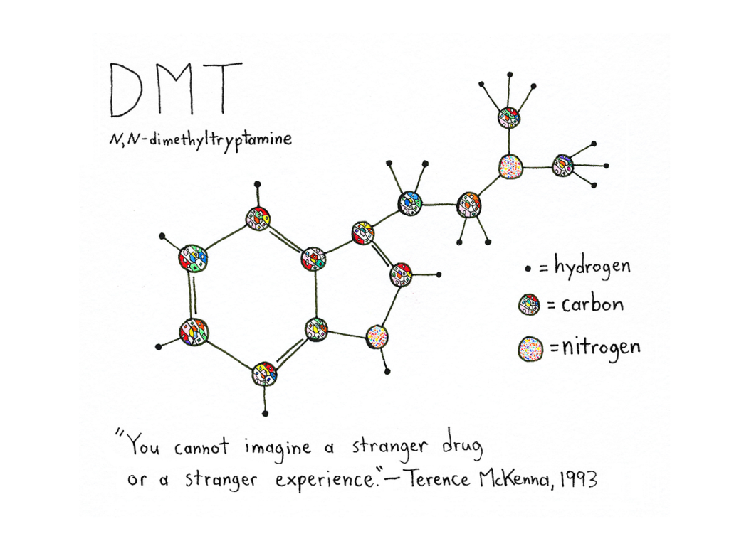 DMT: Everything You Need To Know In 2024 - Shroom Bros - Buy Magic Mushrooms Canada